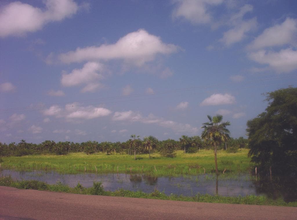Ficha - Libro Rojo ETV